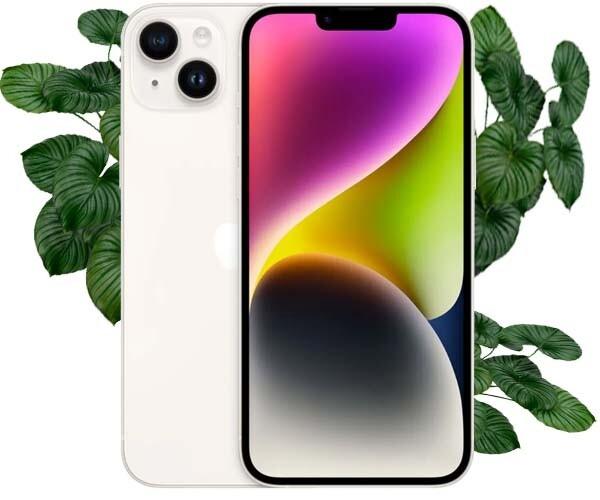 Айфон 14 Плюс бу. Купити бу iPhone 14 Plus